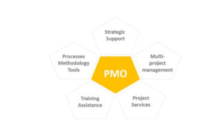 8 Types of Organizational Structure