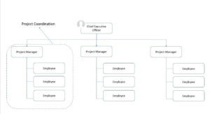 8 Types of Organizational Structure